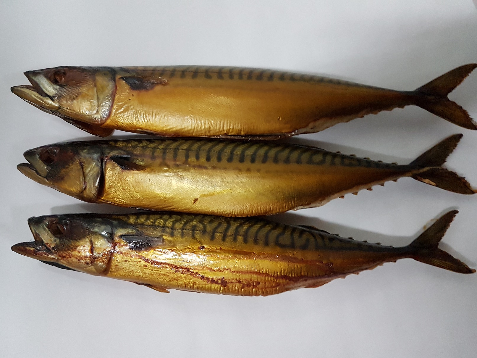 3 Warm gerookte makrelen uit eigen rokerij!