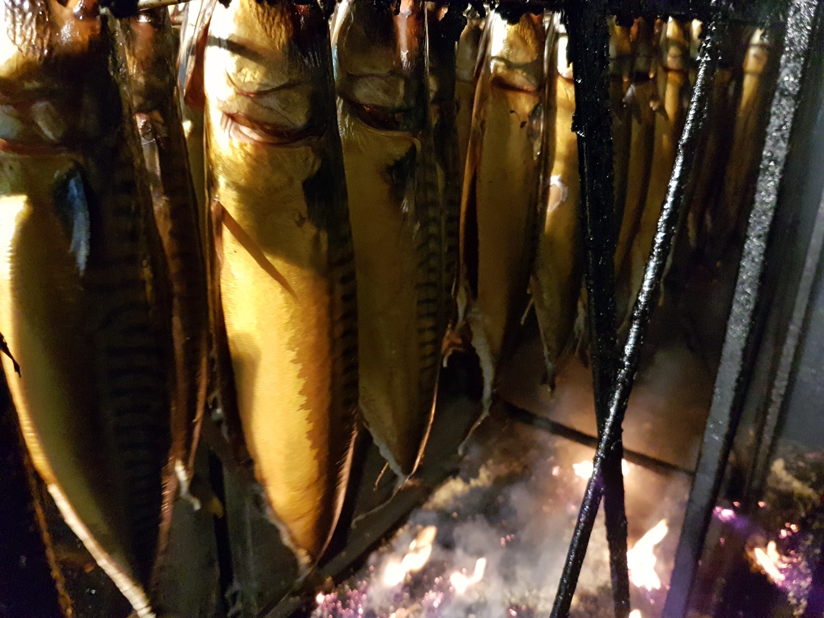 3 Warm gerookte makrelen uit eigen rokerij!